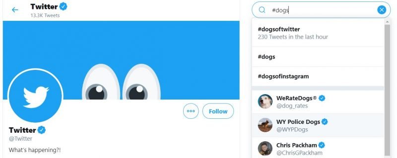 Dog Hashtags | Take a ‘paws’ to read this 2021 guide