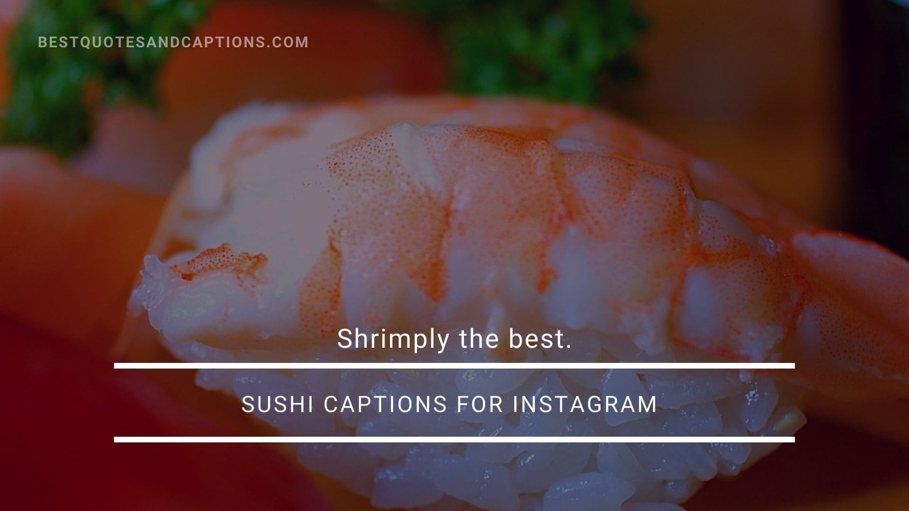 Sushi captions for Instagram | 150+ ‘crabtivating’ sushi quotes