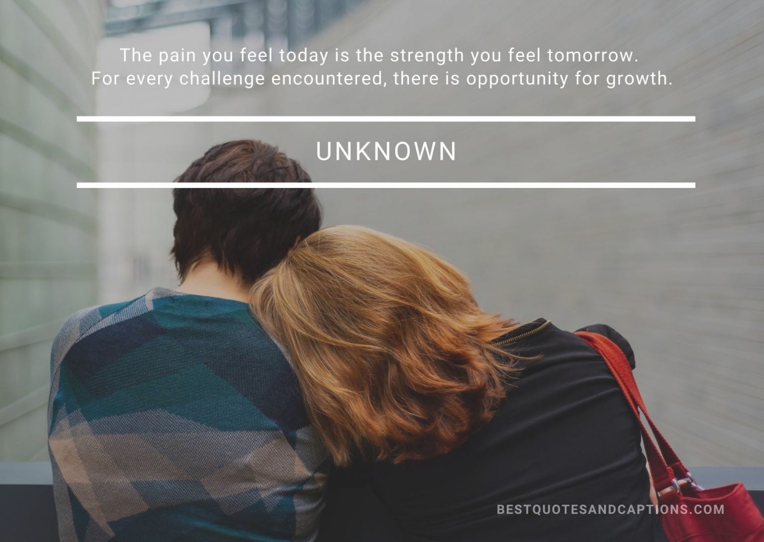 Comforting Quotes | +200 quotes for your time of need