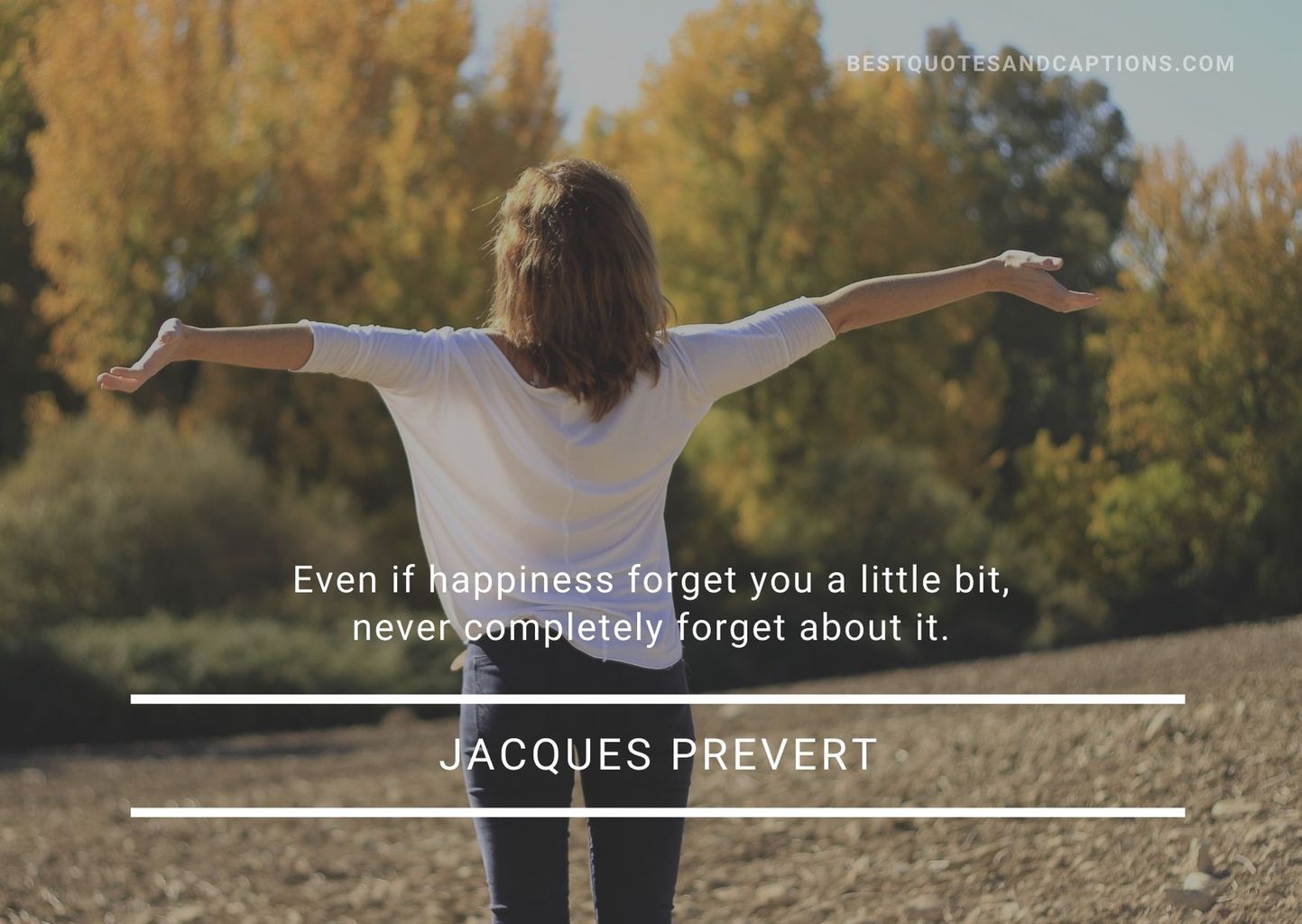 Comforting Quotes | +200 quotes for your time of need