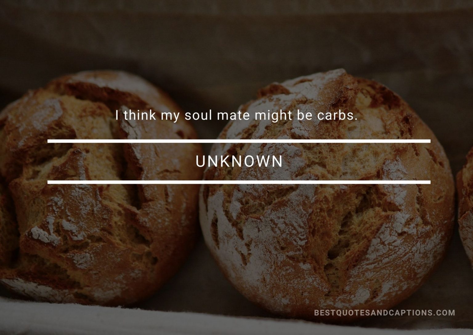 Funny captions and funny quotes for Instagram | 300+ of the best