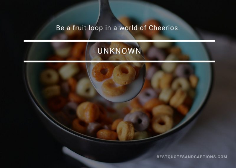 Funny captions and funny quotes for Instagram | 300+ of the best – Best ...