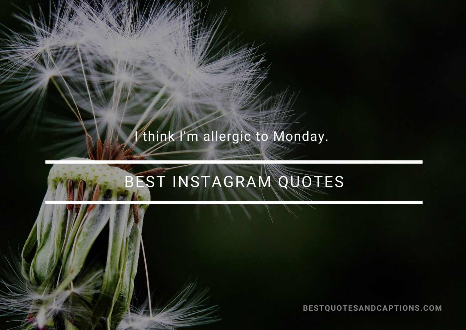 Best Instagram Quotes | 500+ of the ultimate quotes for Instagram