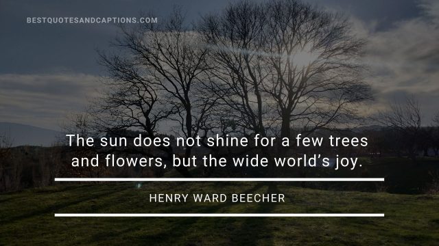 Sun Quotes & Captions | 200+ of the sunshine quotes for Instagram
